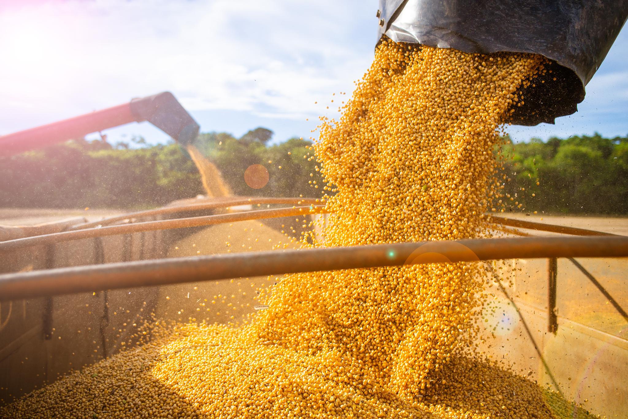 $30 es el precio mínimo de sustentación del quintal de soya - Tierra y Mar