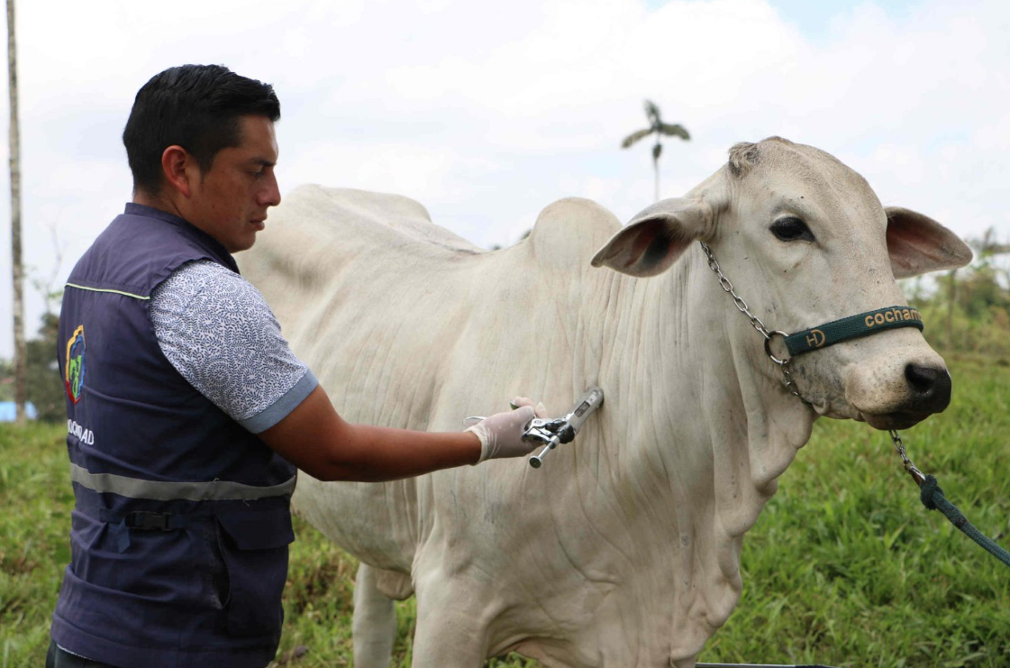Inicio - Tierra y Mar